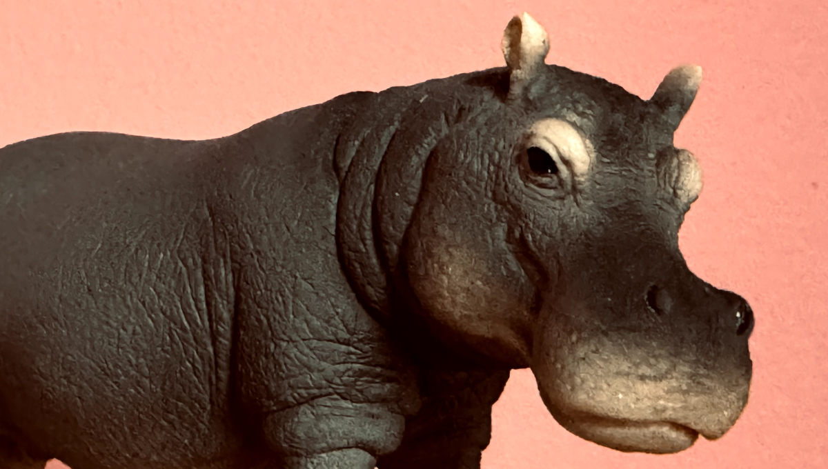 Hippo HQ - Roodesign